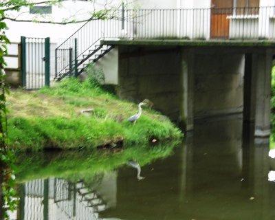 Richard Mique | Versailles-Habitat